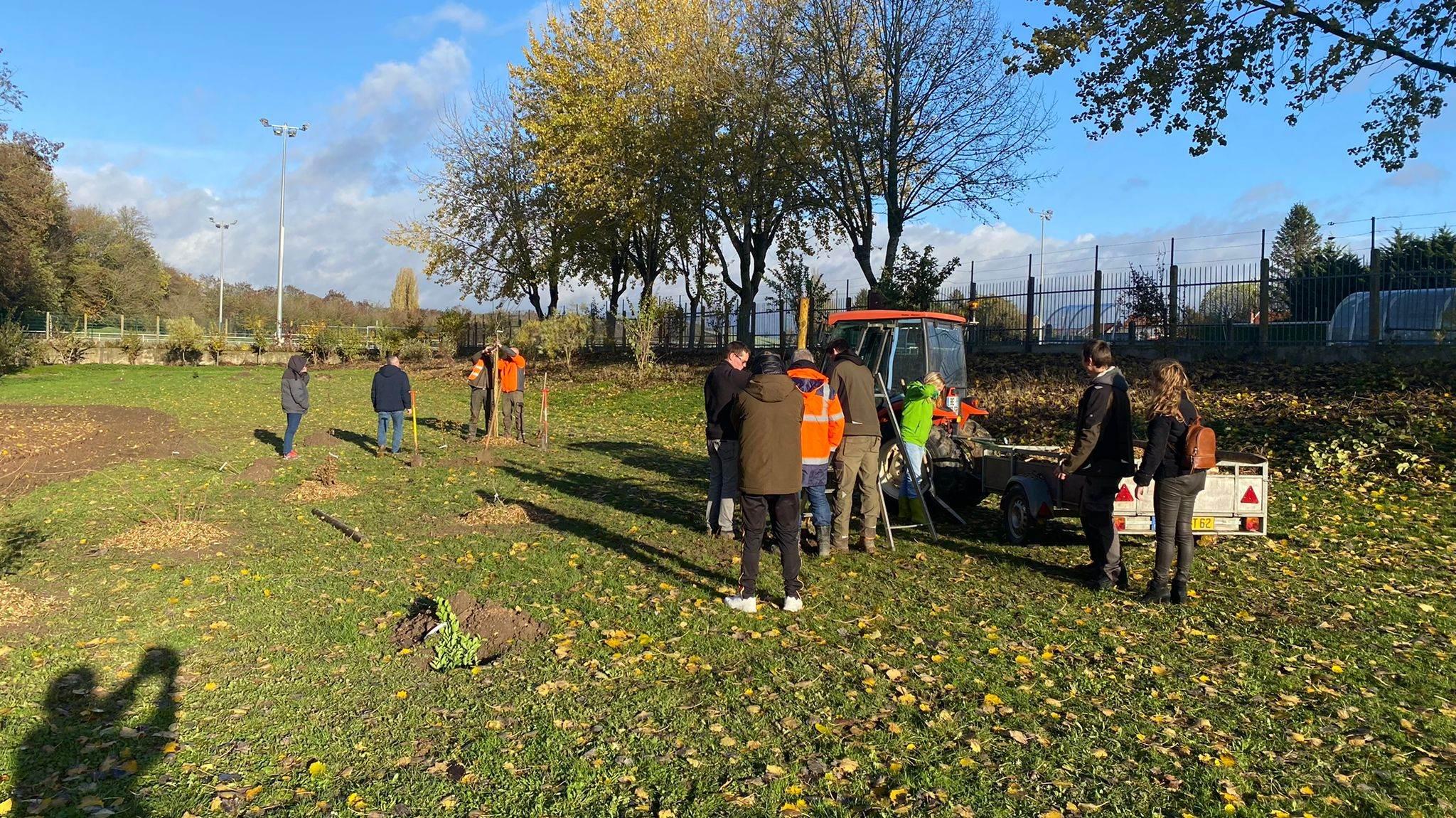 Festival de l'arbre et des chemins ruraux | Ville de Rouvroy